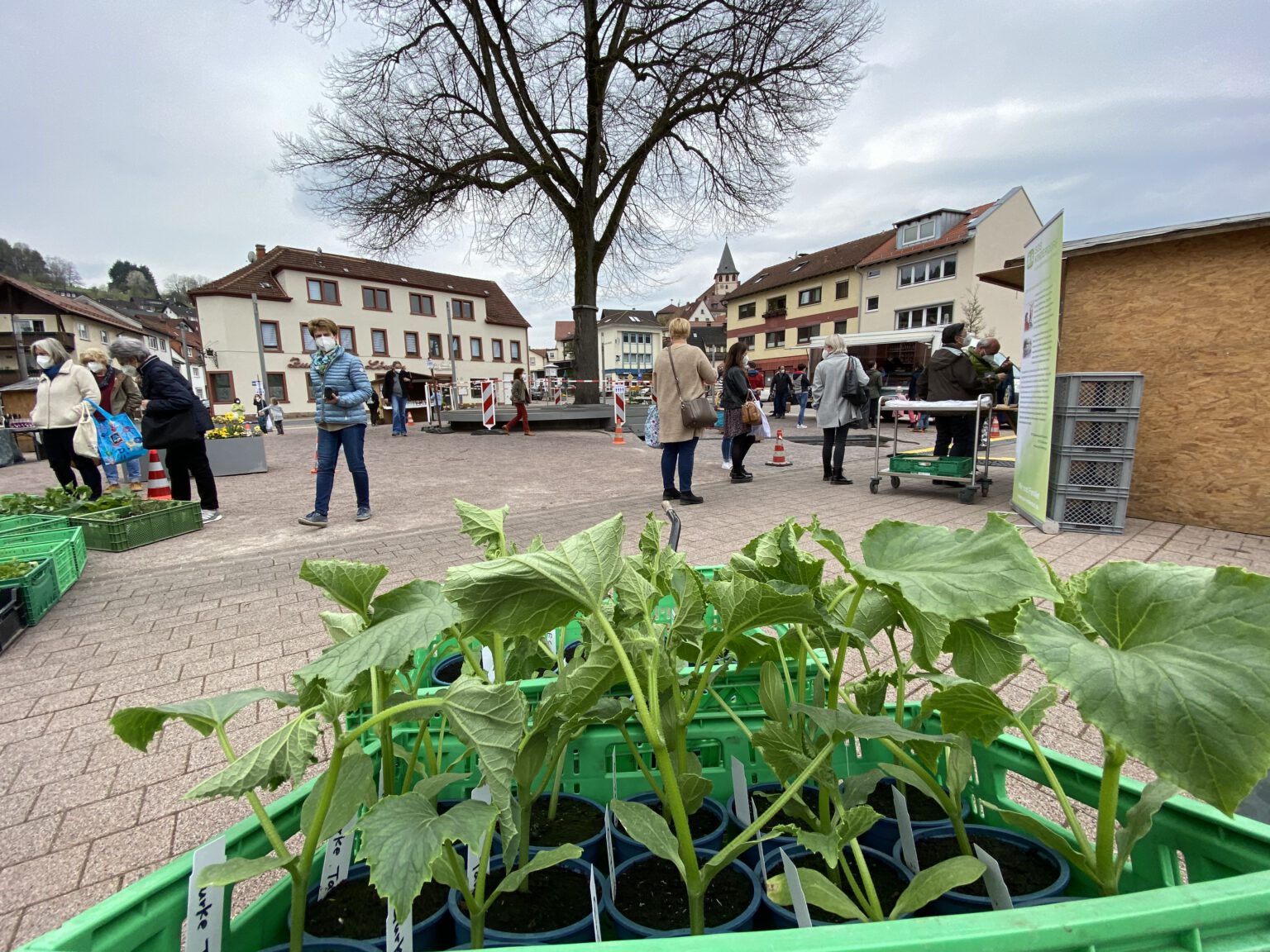 1. Frammersbacher Markttag war ein voller Erfolg | Frammersbach ...