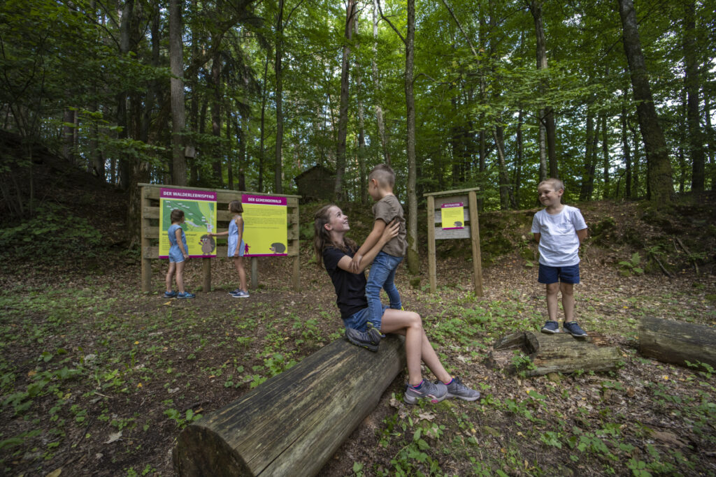 Walderlebnispfad Frammersbach | Frammersbach Marketing eG